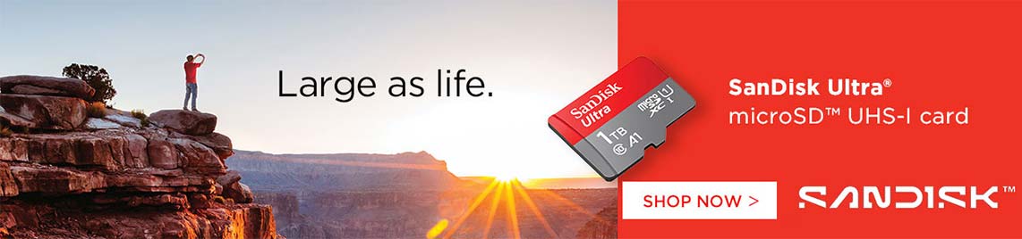 Sandisk | Micro Center